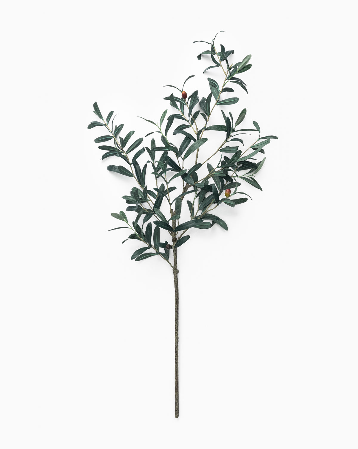 Faux Olive Branch – McGee & Co.
