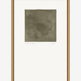 Olive Study – McGee & Co.